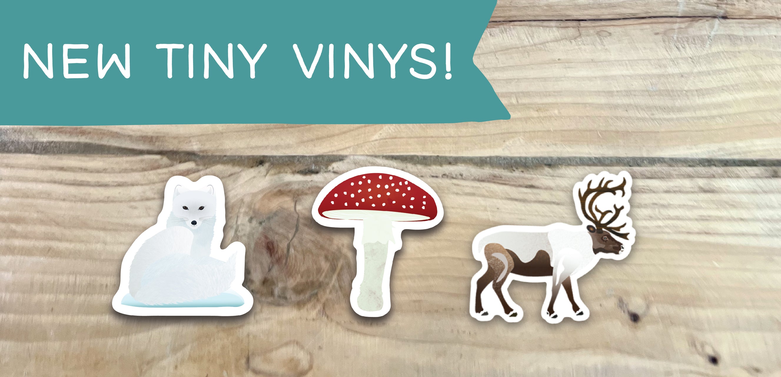 Wren and the Raven Design Studio