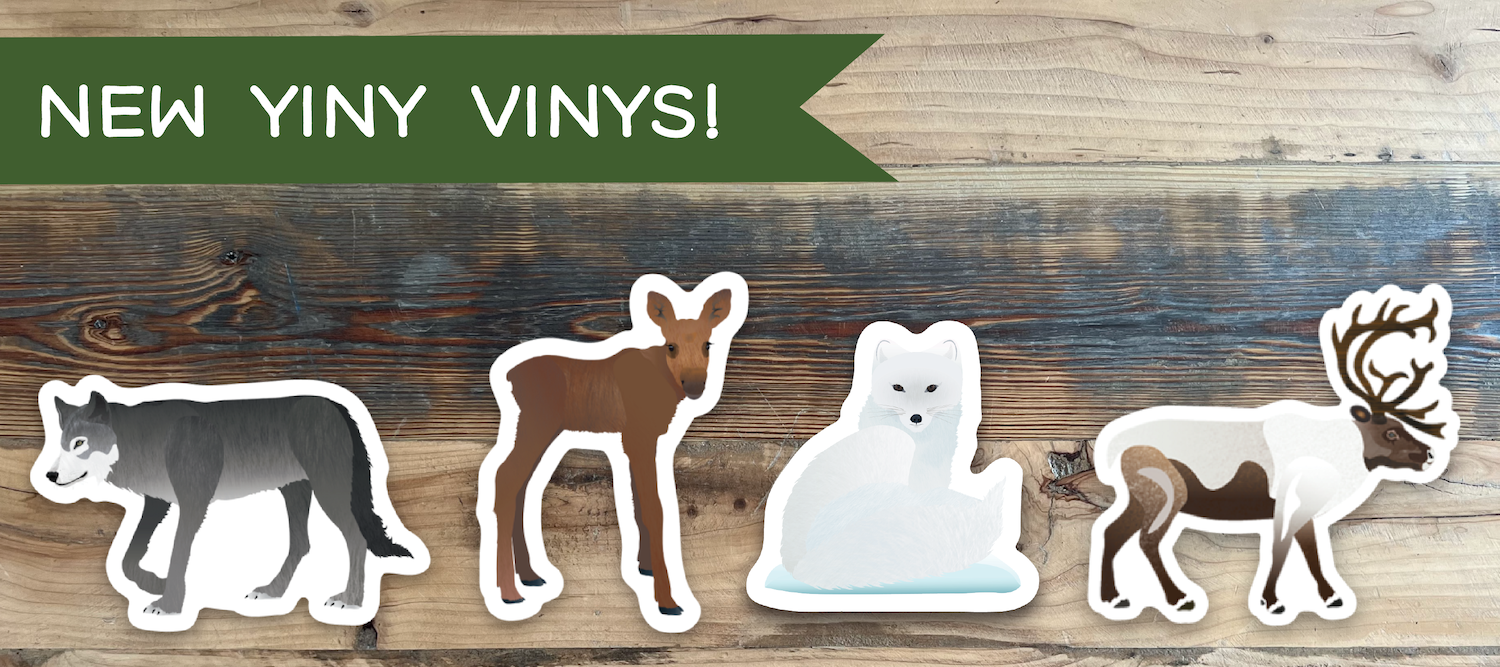 Wren and the Raven Design Studio