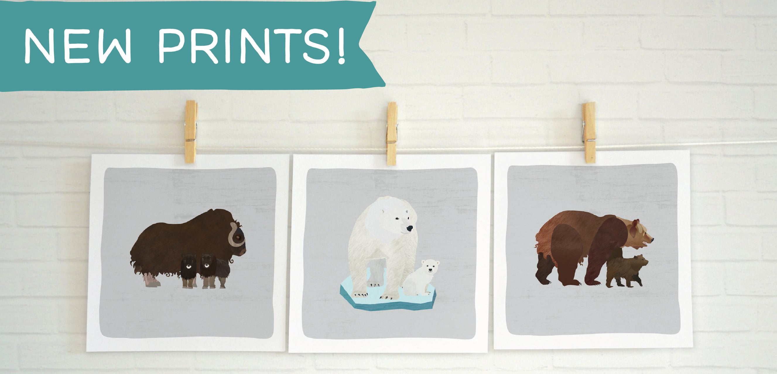 Wren and the Raven Design Studio