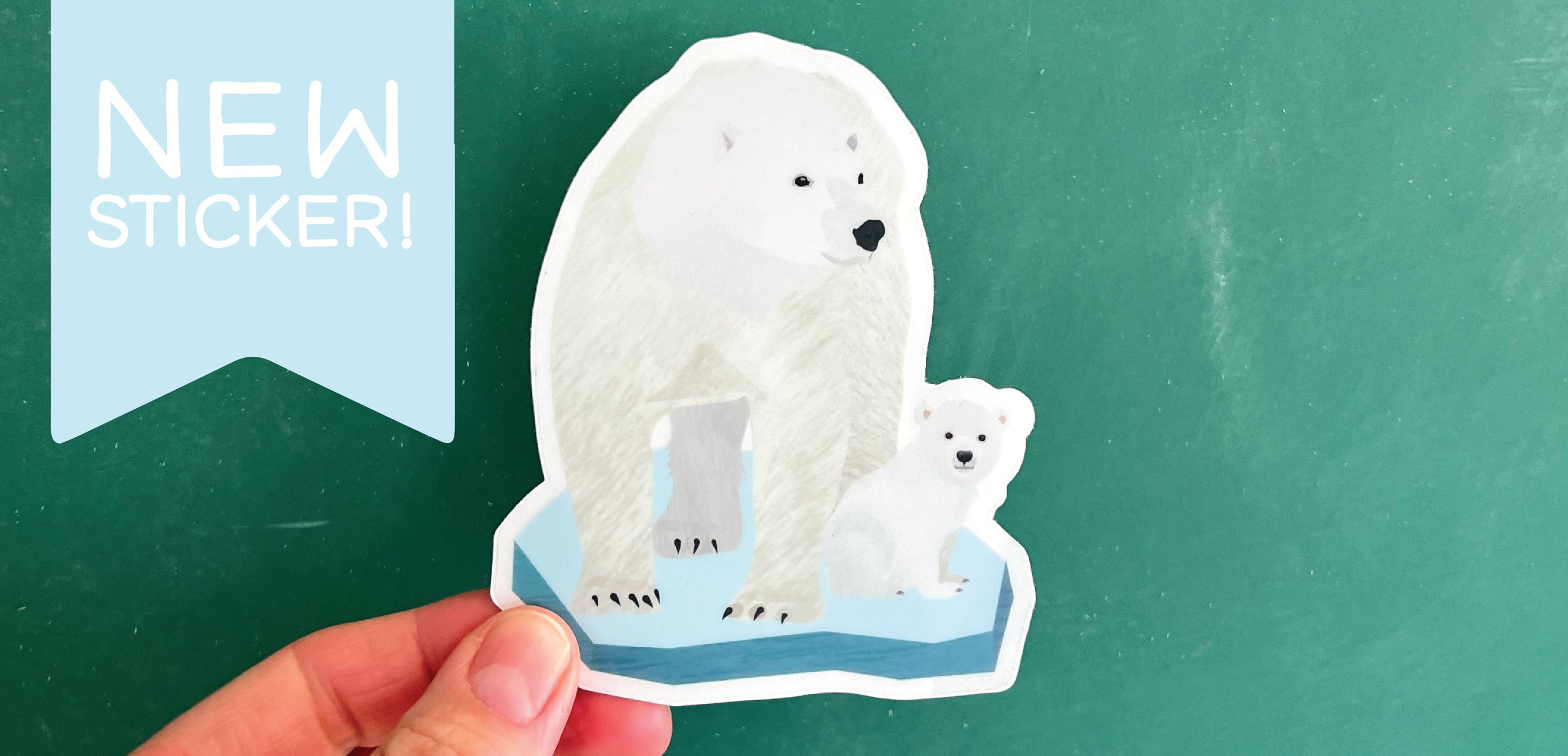 Wren and the Raven Design Studio